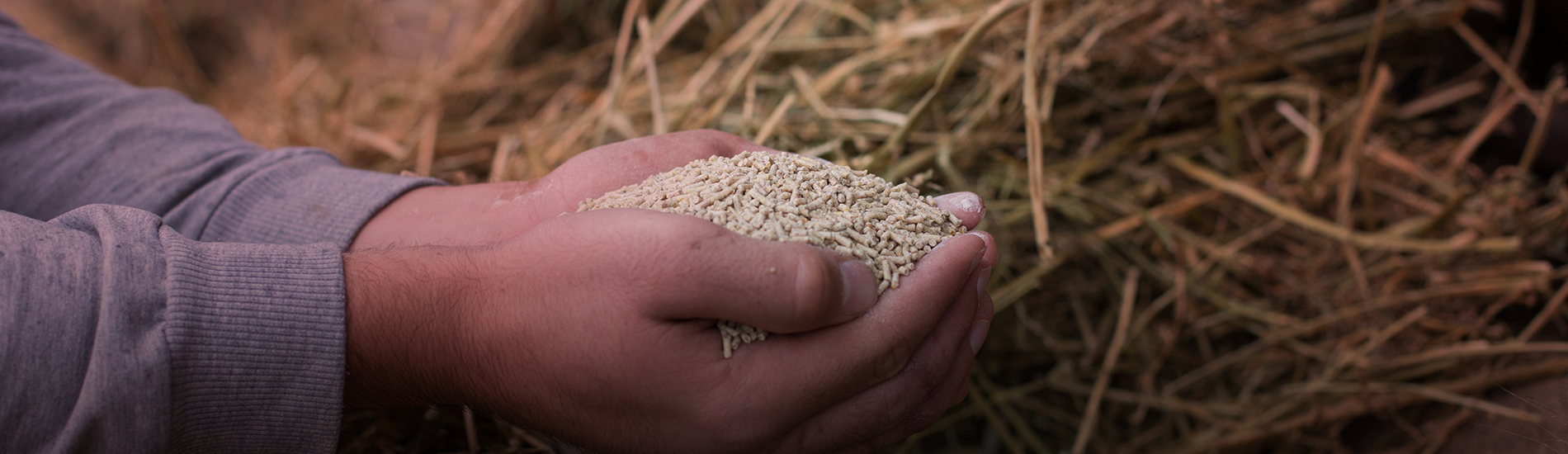 Handling for agriculture and mixed farming - Manitou